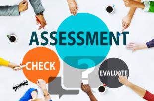 Expert Competency Assessment